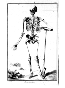 Strange Things Done With University Skeletons - Strange Ago