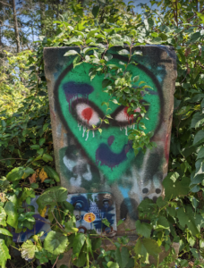 Lake Ontelaunee’s Graffiti Bridge set to replace Pennsylvania’s late ...