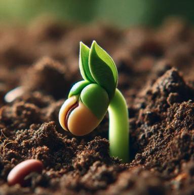 Ancient Superstitions and Folklore About Beans – Strange Ago
